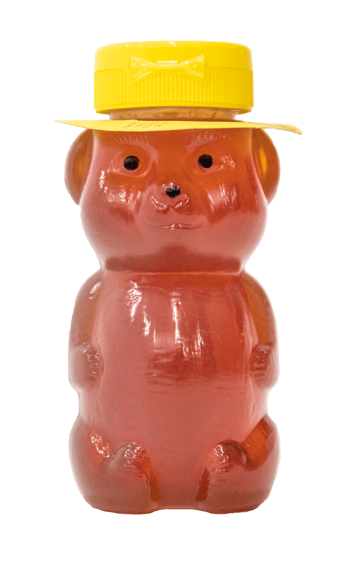 Honey 8oz Bear - Dutch Country General Store